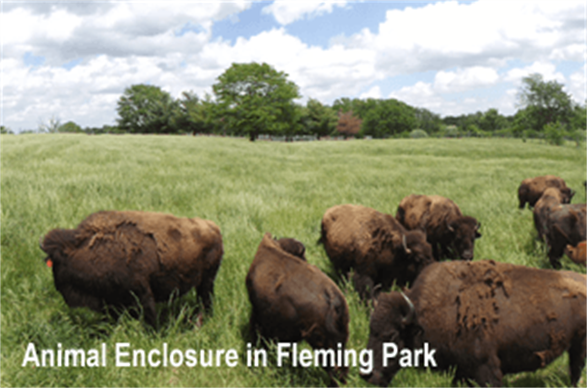 Fleming Park - Lake Jacomo & Blue Springs Lake Jackson County MO Parks ...